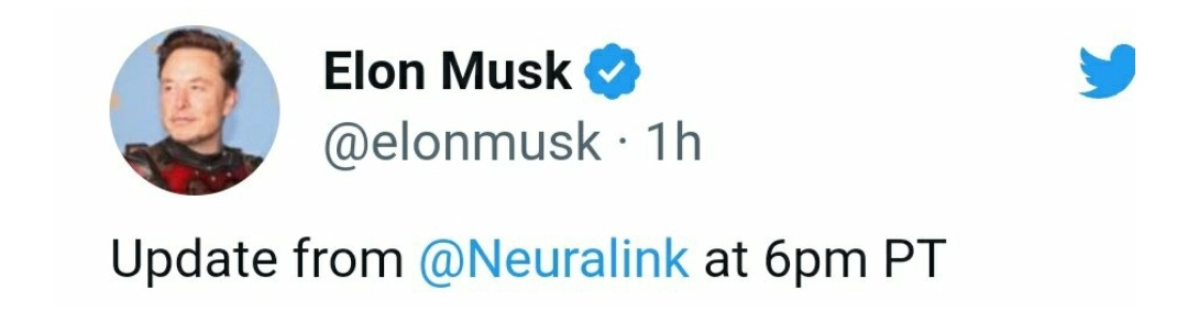 No Thank You, Elon. – Catholic Critique